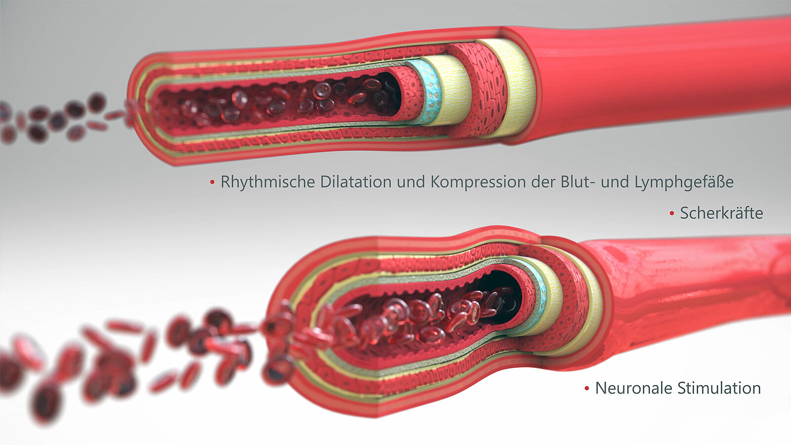 Apparative Lymphdrainage │ proxomed