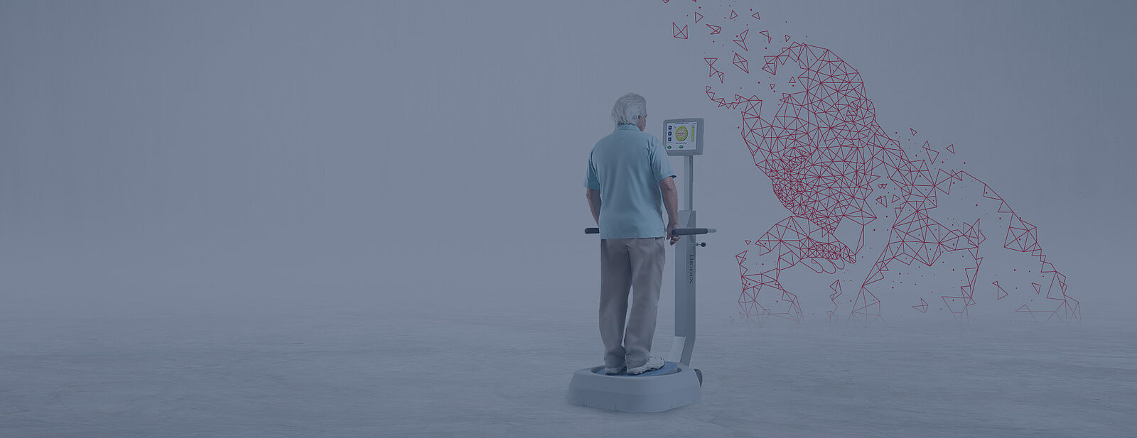 Biodex Balance System SD entdecken