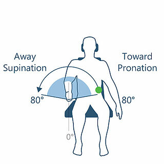 Isokinetik in der Erweiterten Ambulanten Physiotherapie │ proxomed